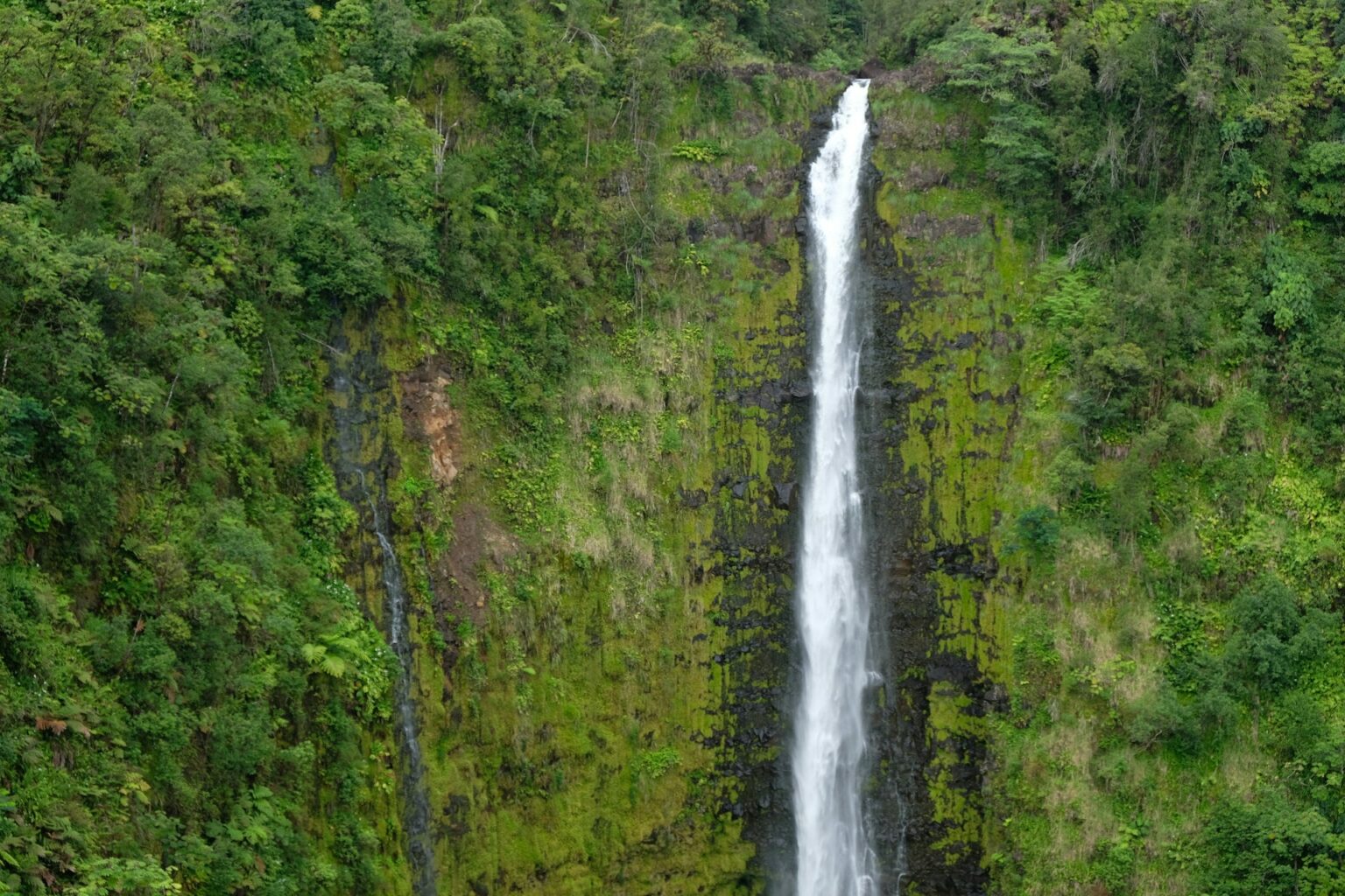Ultimate Guide to Kamuela | Top Things to Do in Waimea Big Island