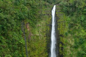Ultimate Guide to Kamuela | Top Things to Do in Waimea Big Island